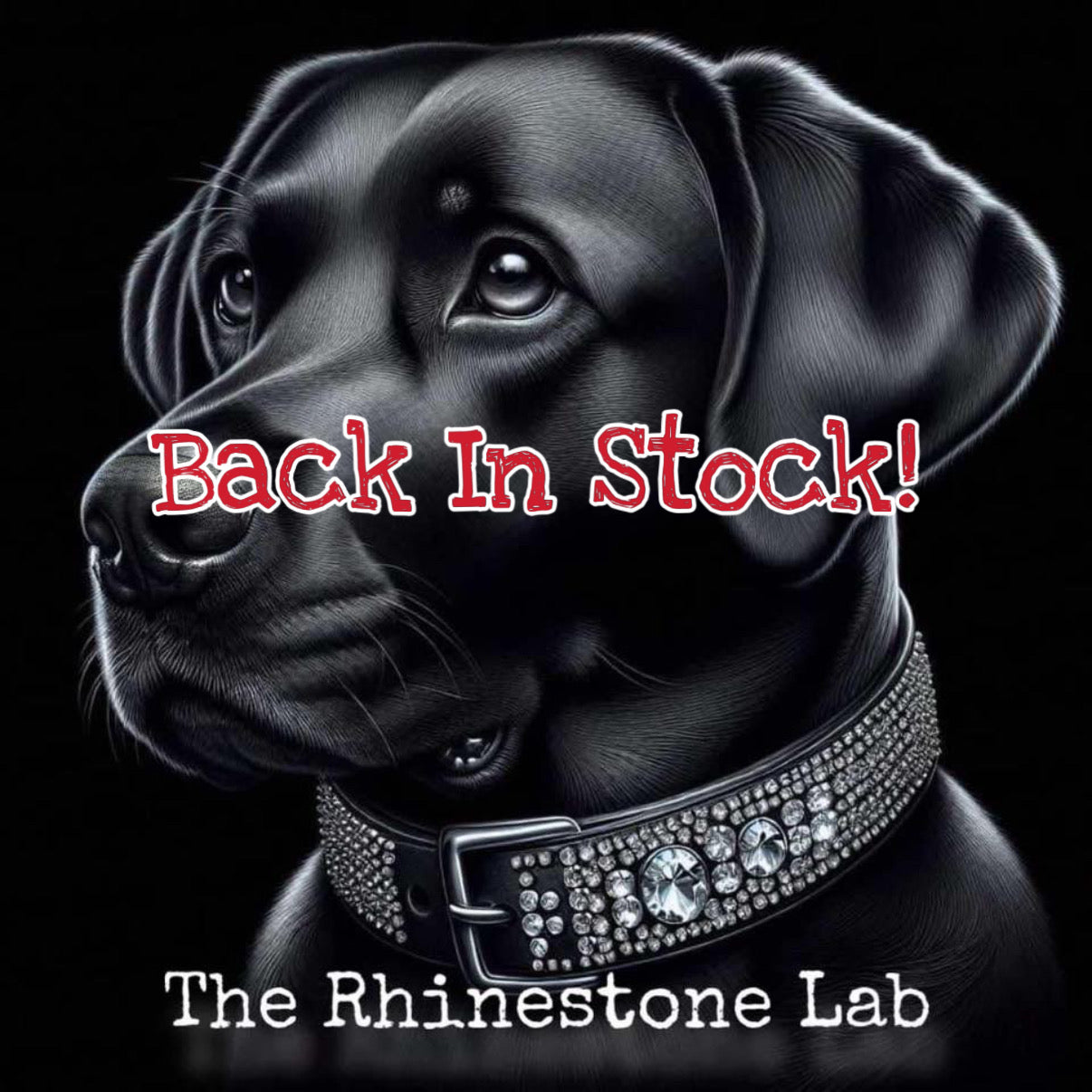Back In Stock – The Rhinestone Lab